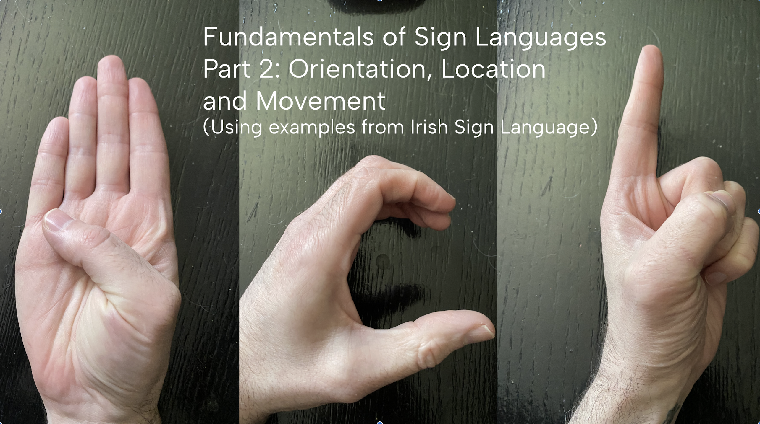 Fundamentals of sign languages, part 2 – Partner and Ally